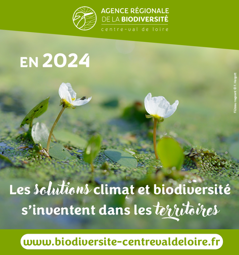 En 2024, les solutions climat et biodiversité s'inventent dans les territoires ! - Portail de la ...